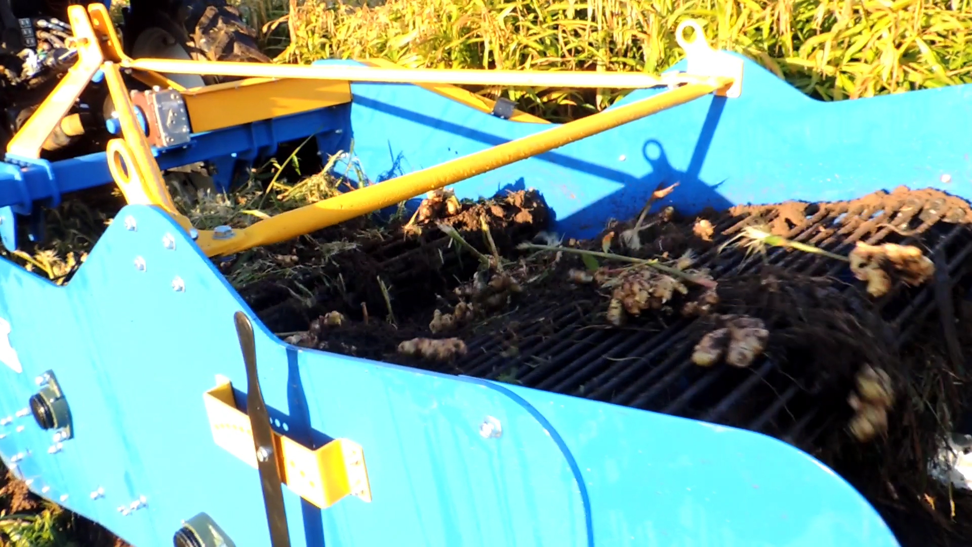 Ginger Digger | MyT Engineering