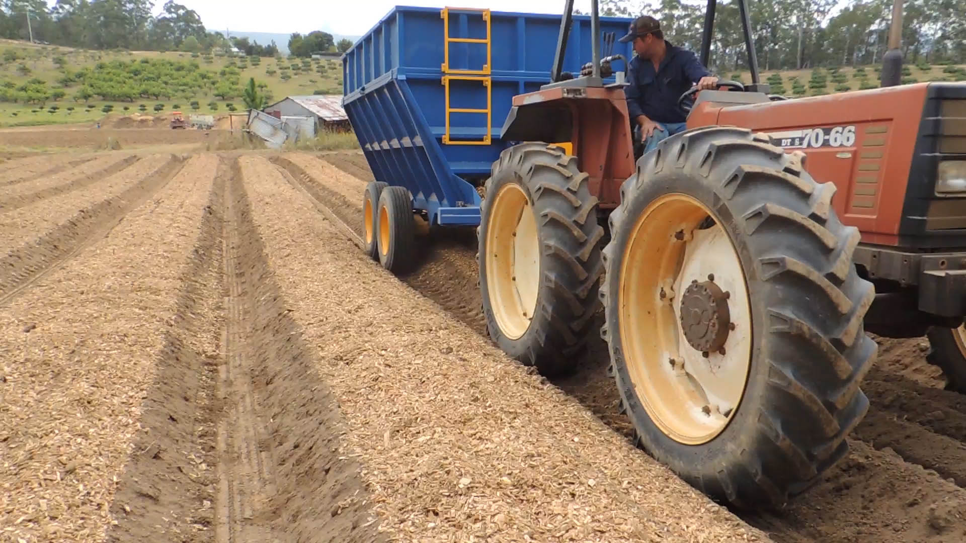 Sawdust Spreader | MyT Engineering
